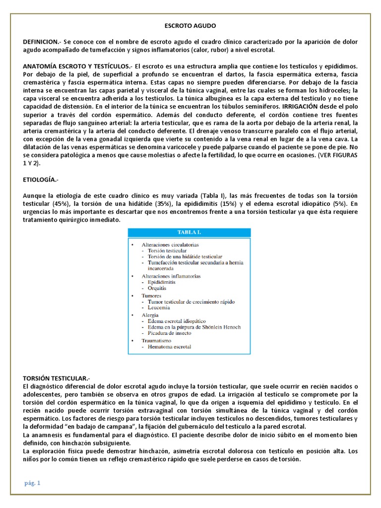 Escroto Agudo: Causas y Tratamiento | PDF | Especialidades Medicas ...