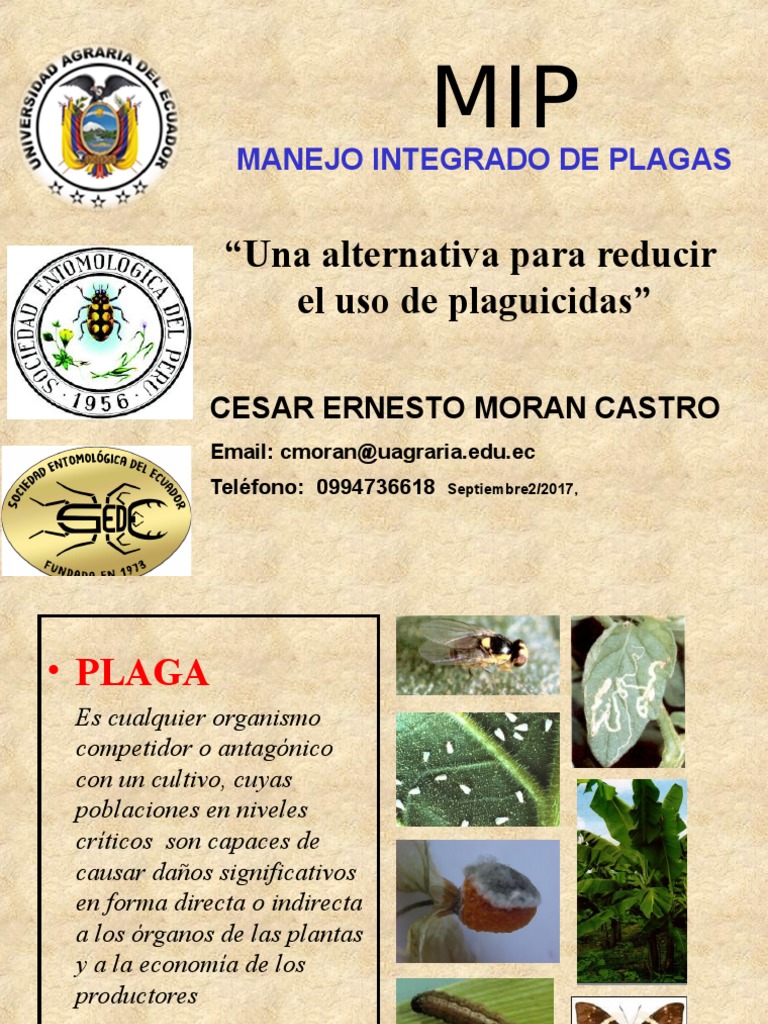 Manejo Integrado de Plagas | PDF | Pesticida | Plaga (organismo)