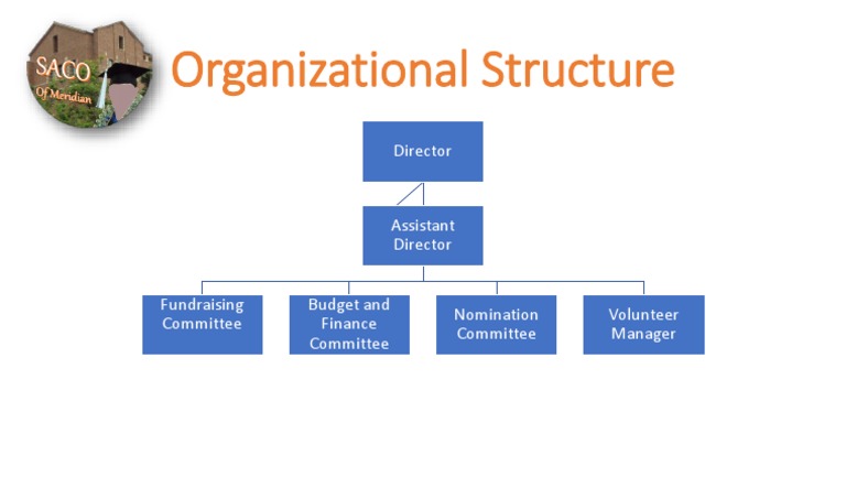 Org Structure | PDF