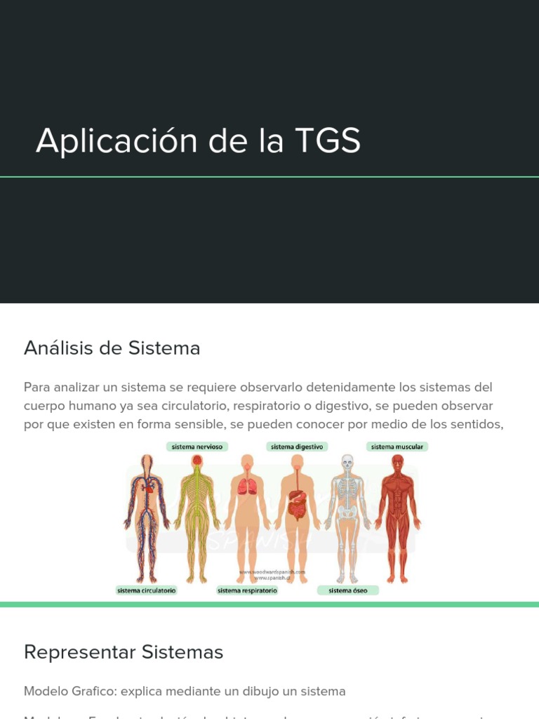 Aplicacion de La TGS | PDF | Informática