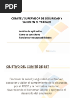 Conformación y Funciones del Comité SST | PDF | Valores | Votación