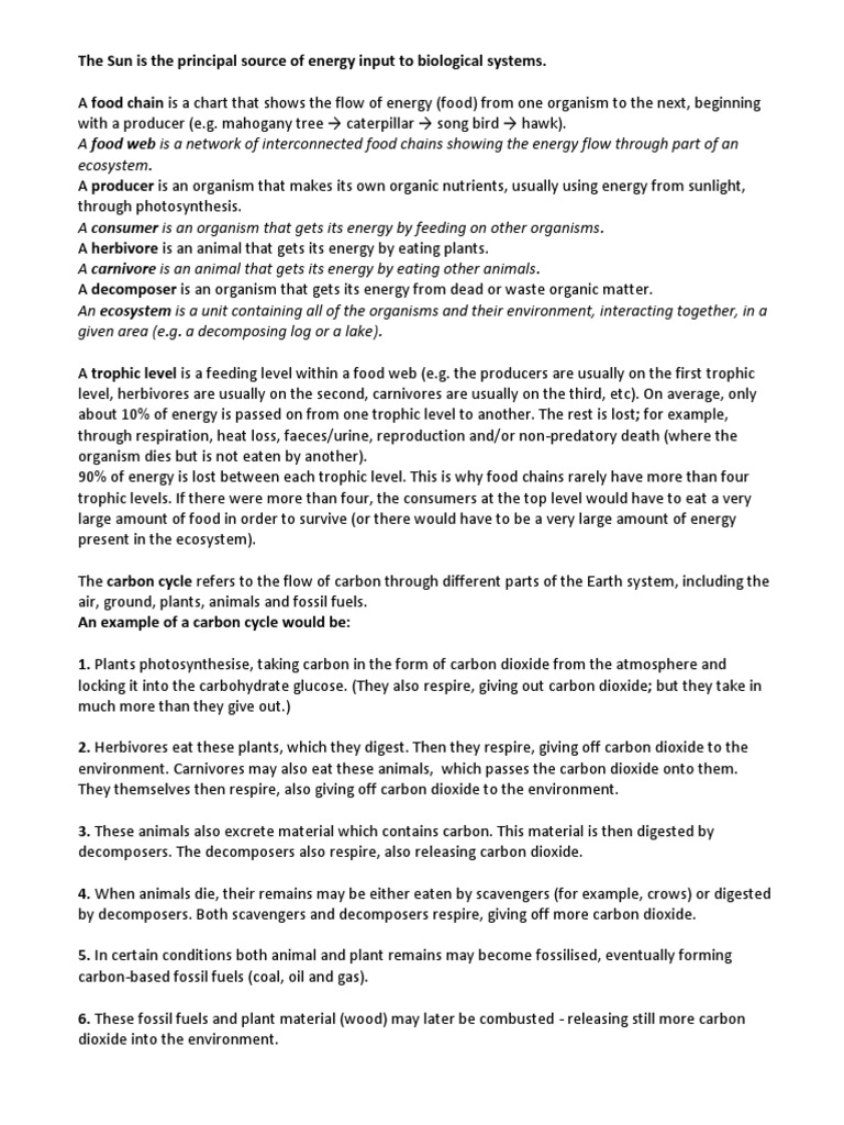 Bio Ecosystems and The Carbon Cycle | PDF | Food Web | Ecosystem