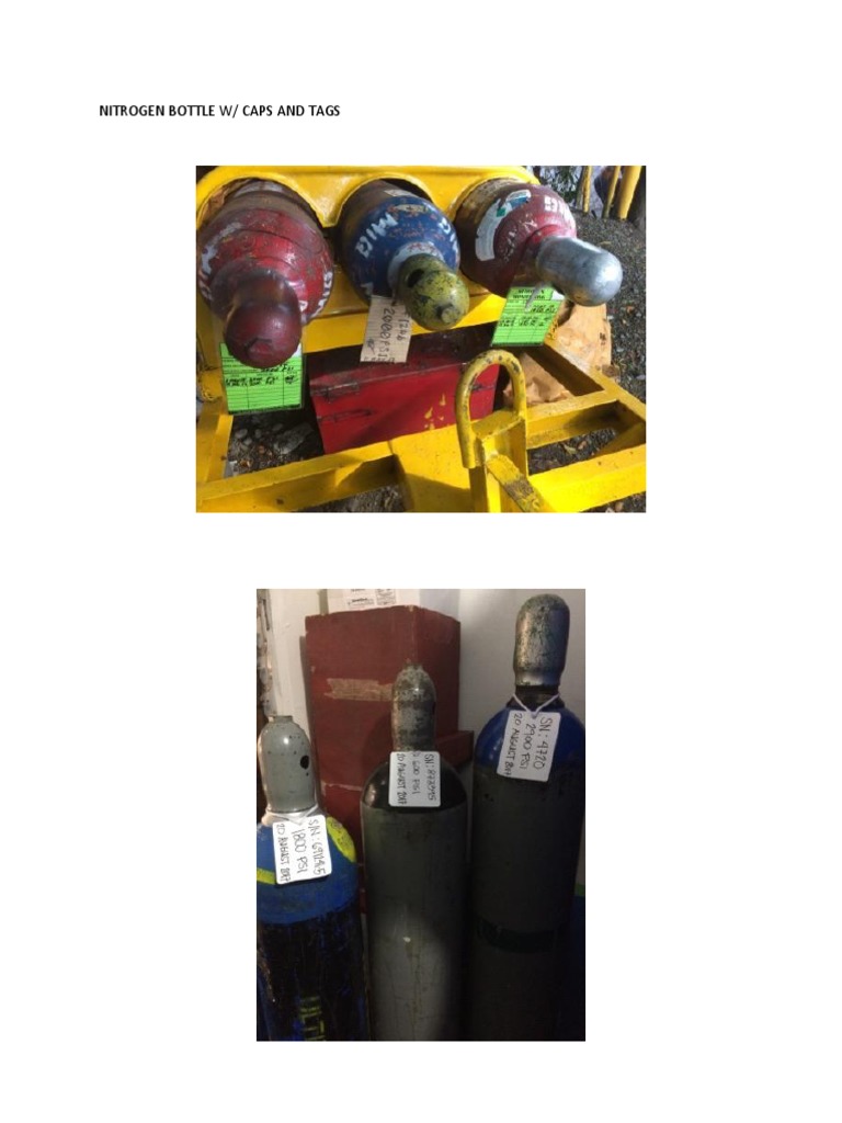 Nitrogen Bottle W | PDF