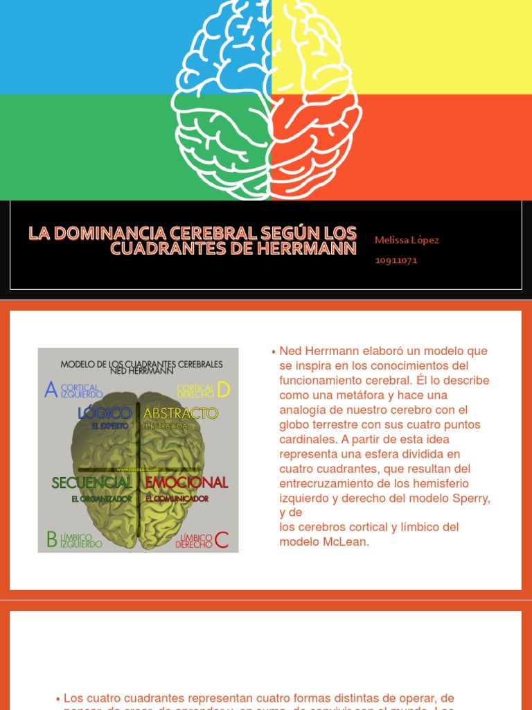 Análisis del modelo de los cuatro cuadrantes cerebrales de Ned Herrmann ...