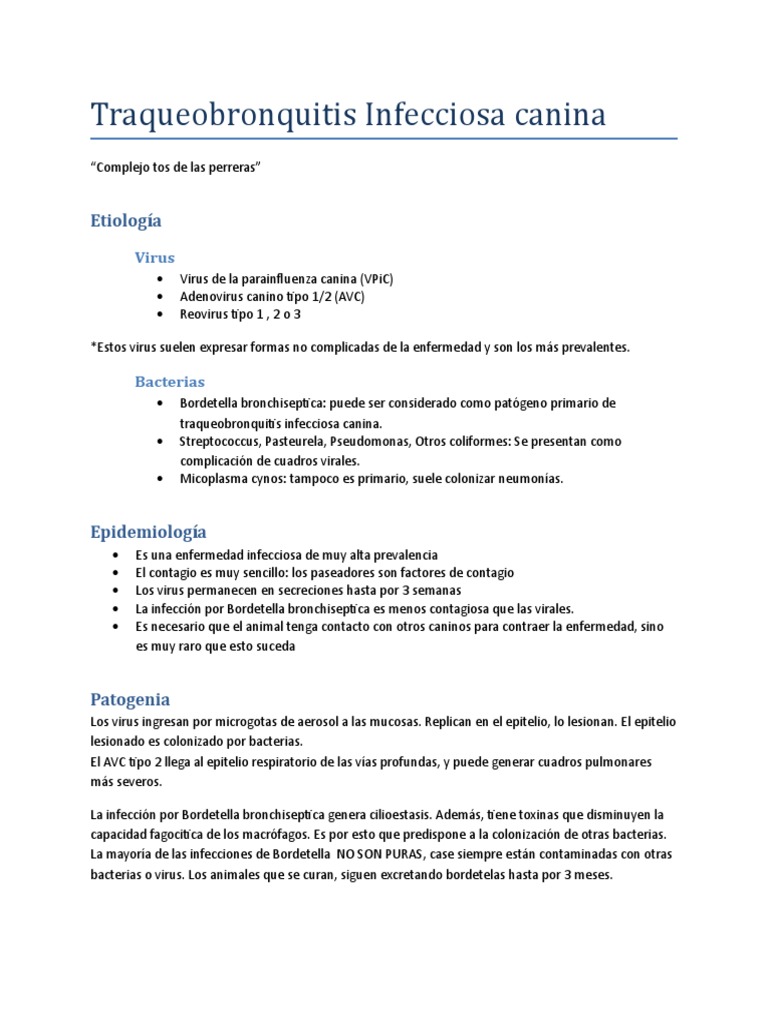 Traqueobronquitis Canina: Causas y Tratamiento | PDF | Tos | Virus
