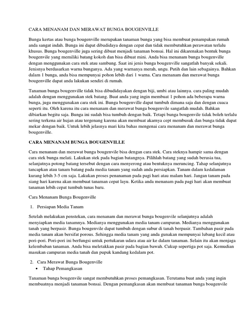Panduan Menanam Bunga Bougenville | PDF | Griya & Taman
