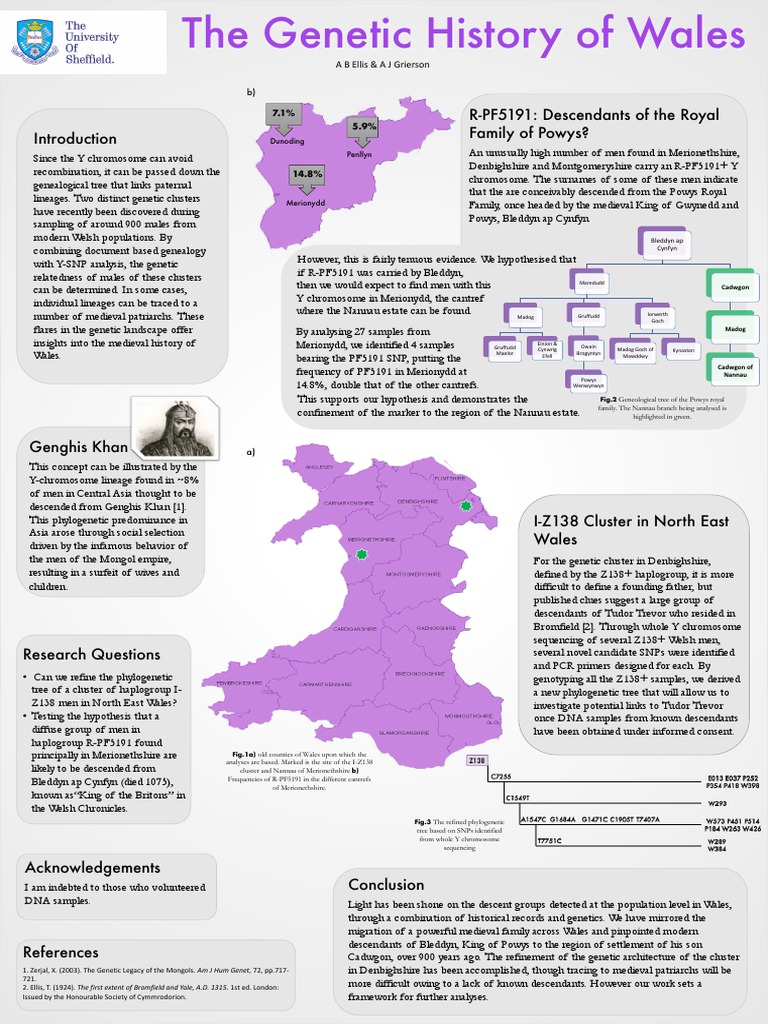The Genetic History of Wales | PDF | Genetics | Population Genetics