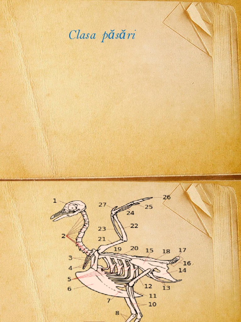 Biologie - Clasa Pasari | PDF