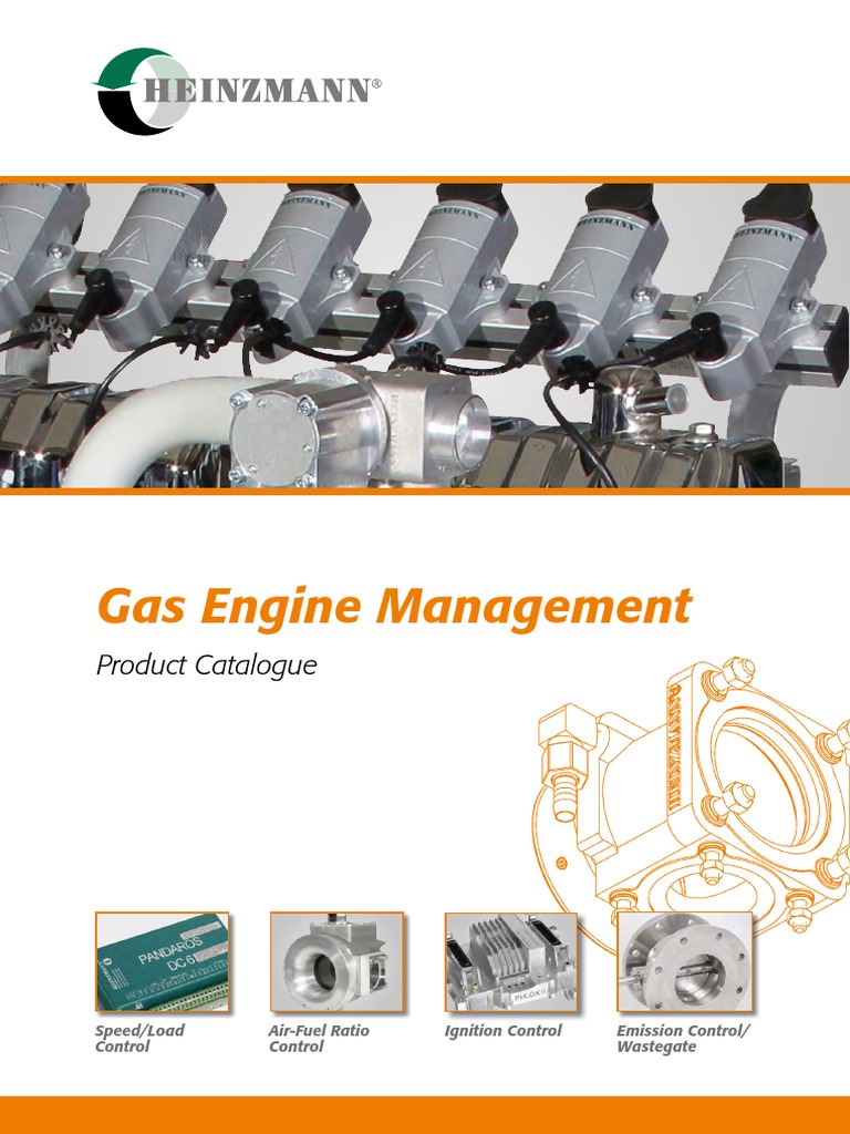Control AFR CAT Gas Engine Management e | PDF | Internal Combustion ...
