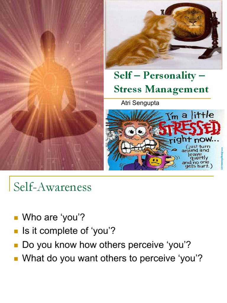 Self - Personality - Stress Management | PDF | Id | Self