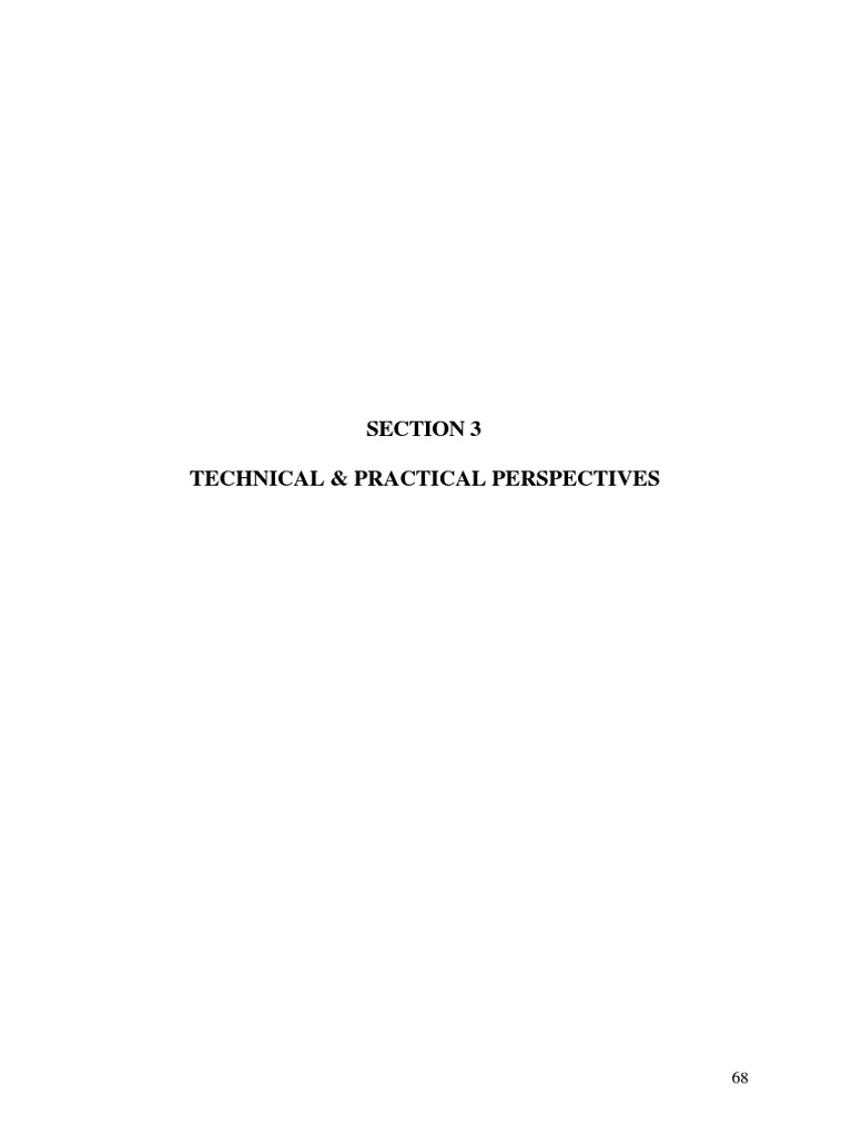 Section 3 Technical & Practical Perspectives | PDF
