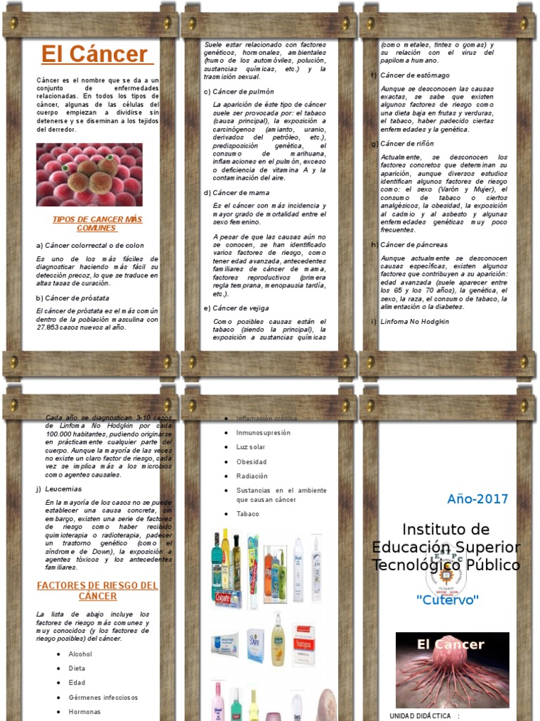 Triptico Cancer | PDF | Cáncer de pulmón | Cáncer