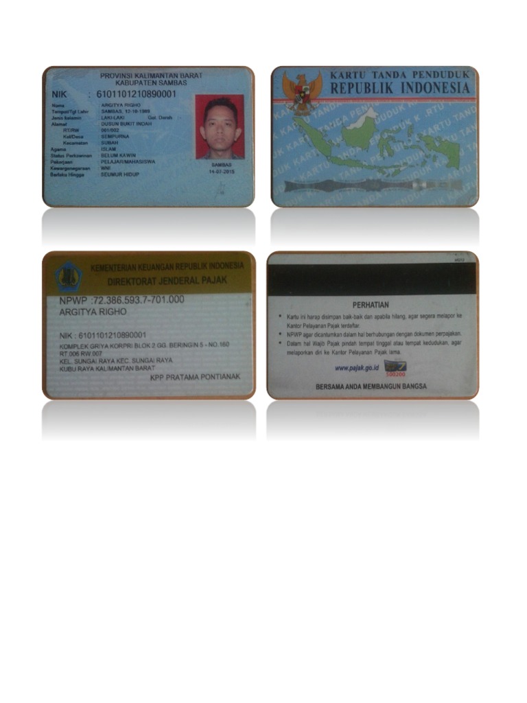 KTP + NPWP | PDF