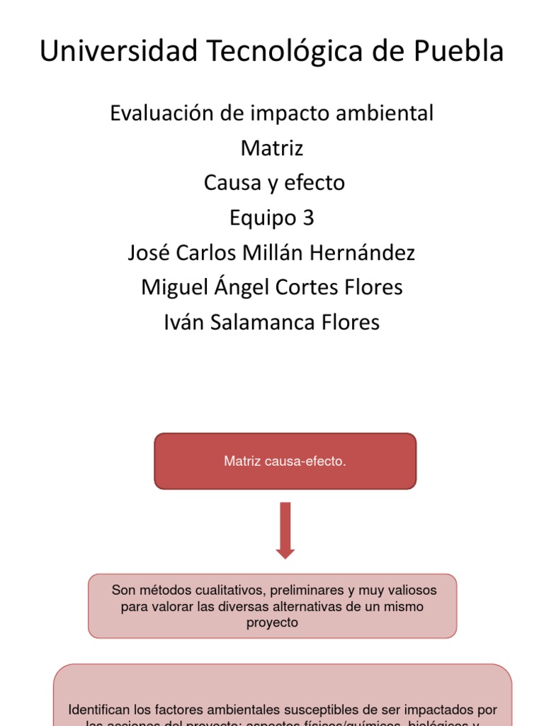 Matriz Causa Efecto | PDF | Entorno natural | Matriz (Matemáticas)