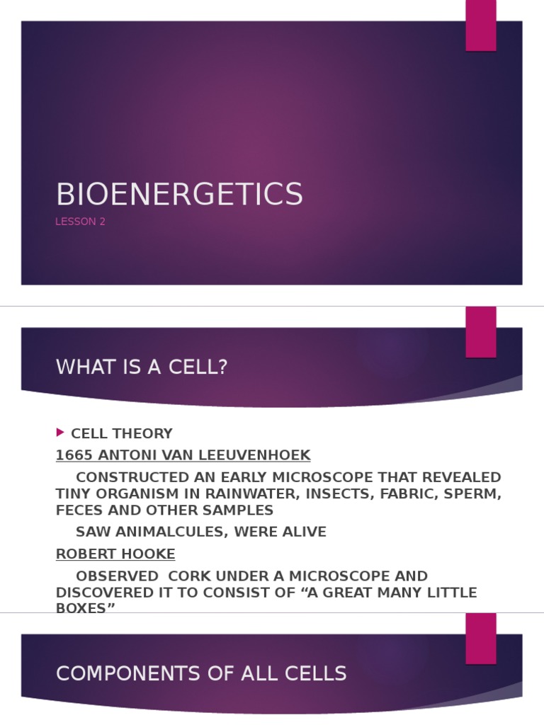 Lesson 2 Bioenergetics | PDF | Endoplasmic Reticulum | Cell (Biology)