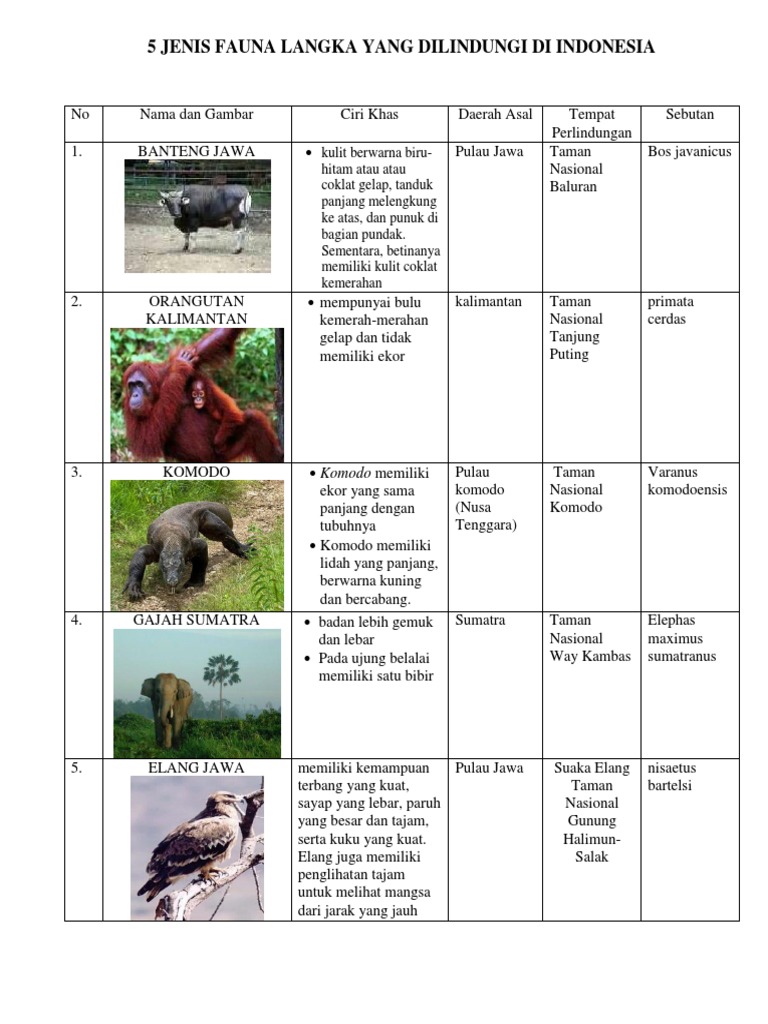 5 Jenis Fauna Langka Yang Dilindungi Di Indonesia | PDF