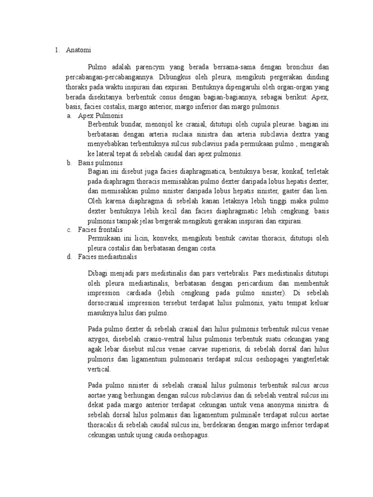 Anatomi PULMO | PDF