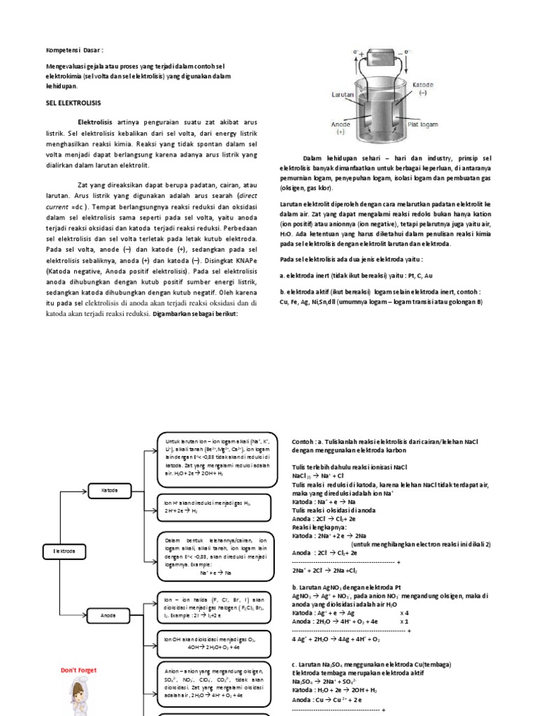 Modul Sel Elektrolisis | PDF