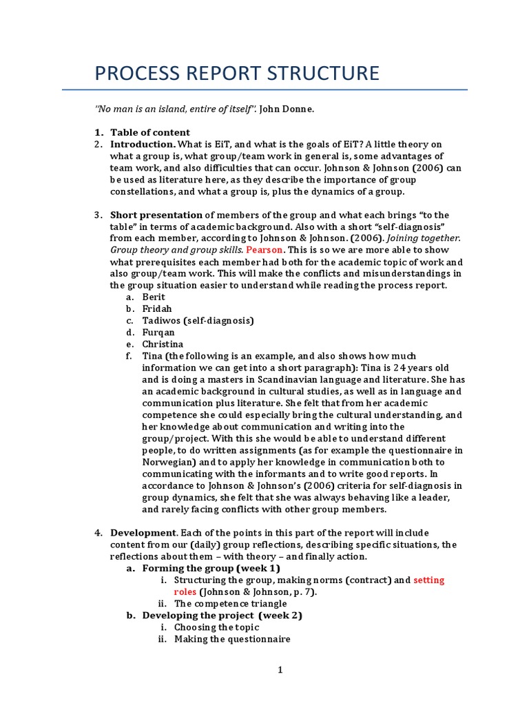 Process Report Structure | PDF | Emergence | Psychology