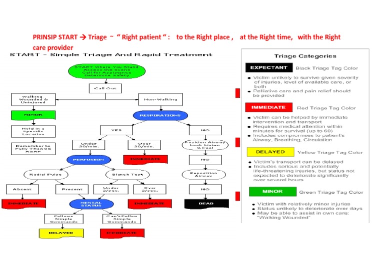 Algoritma Triage START | PDF
