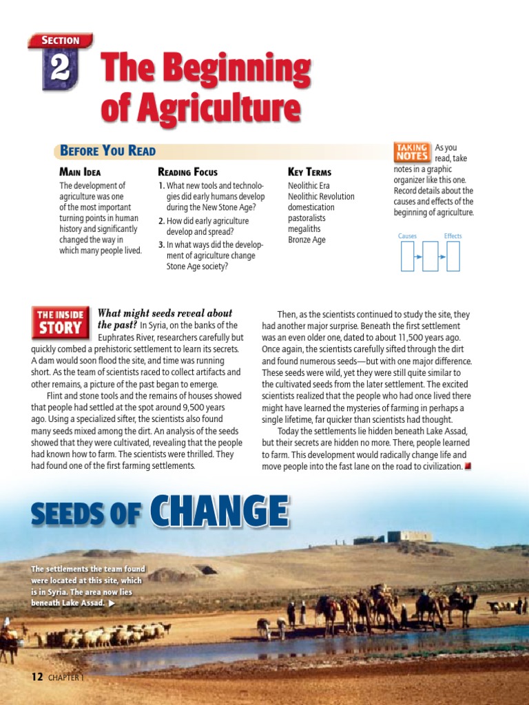 Standard - Bronze Age - World History Human Legacy Textbook | PDF ...