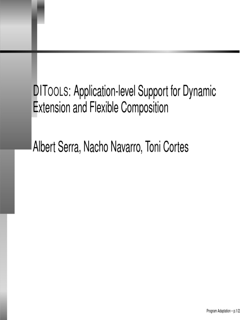 DIT: Application-Level Support For Dynamic Extension and Flexible ...
