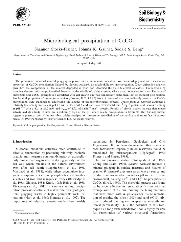 Microbiological Precipitation of CaCO3 1999 PDF | PDF | Ph | Solubility