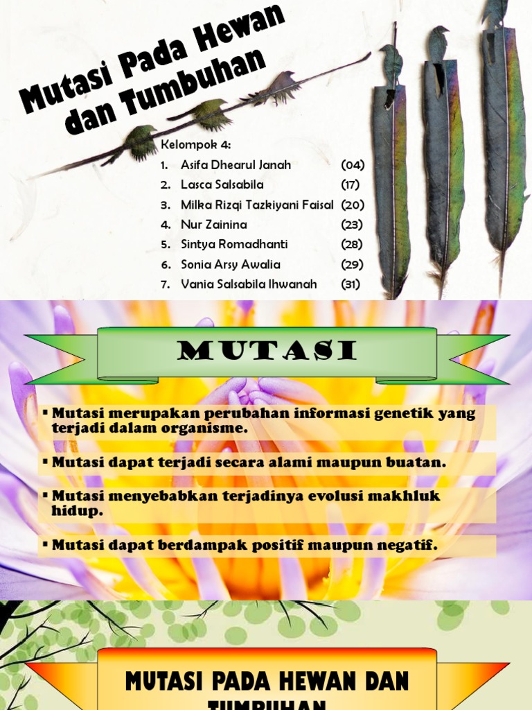 Mutasi Pada Hewan | PDF