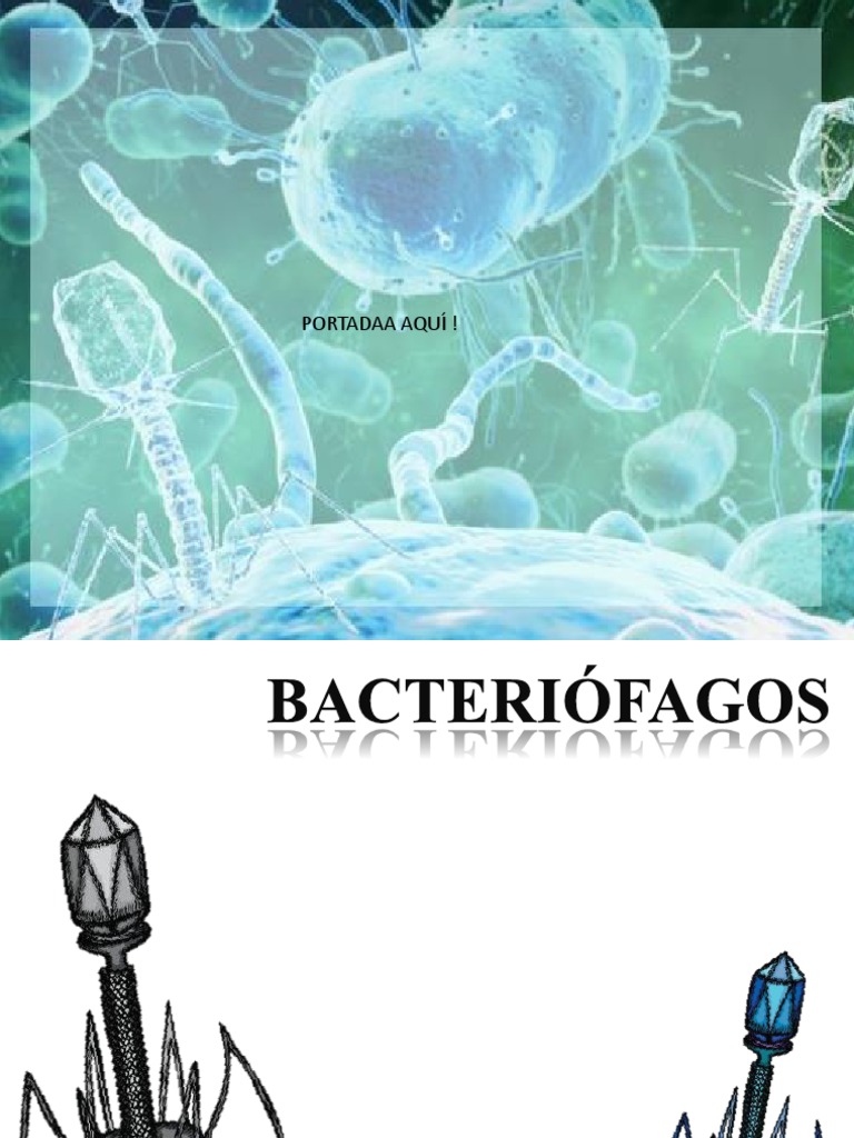 Bacteriófagos | Bacteriófago | Virus