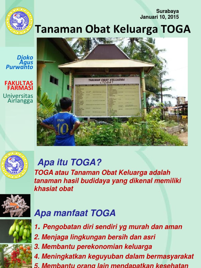 Manfaat dan Contoh Tanaman TOGA | PDF | Kesehatan Holistik