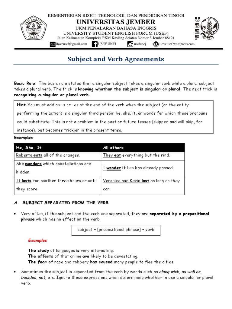 Subject Verb Agreements | Grammatical Number | Plural