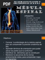 El Saco Dural Humano | PDF | Médula espinal | Anatomía