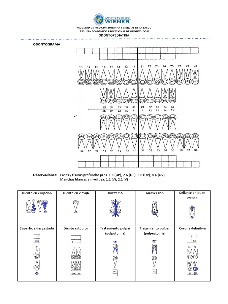 Odontograma | PDF