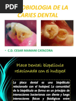 La Placa Dental Se Clasifica Según Su Localización en Supragingival y ...