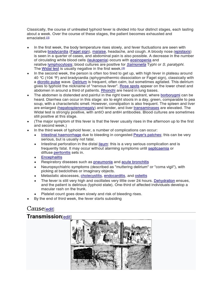 Typhoid 1 | PDF | Immunology | Microbiology