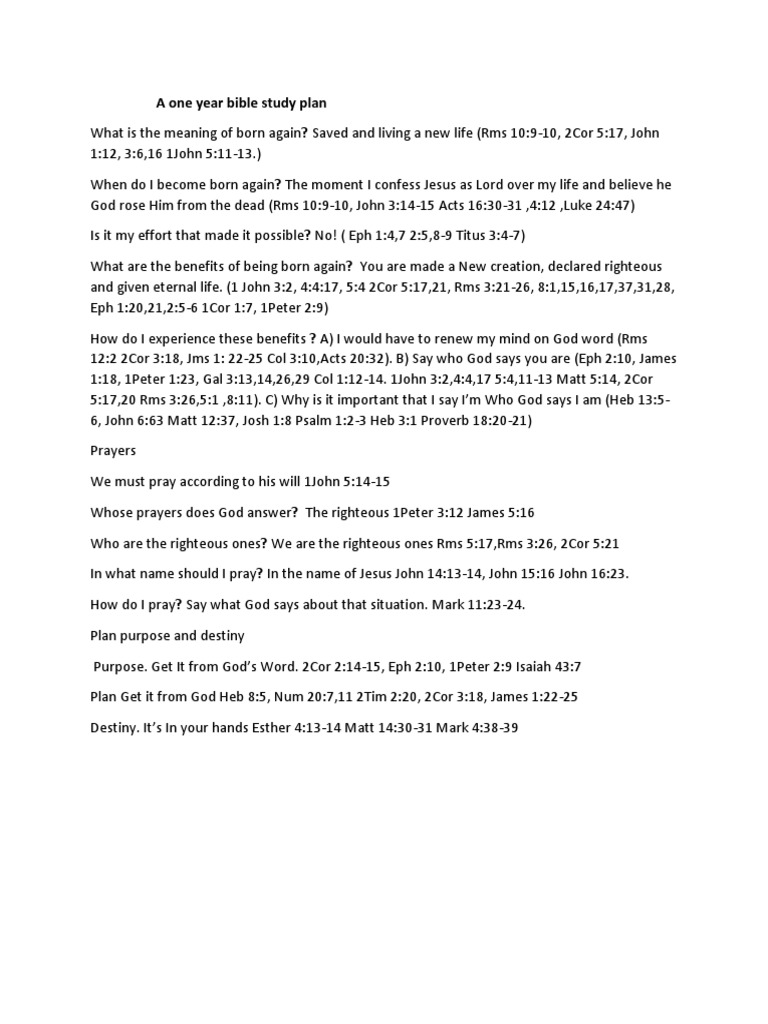One Year Bible Study Plan Overview | PDF