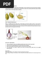 Edible Parts of Plants Explained | PDF | Fruit | Vegetables