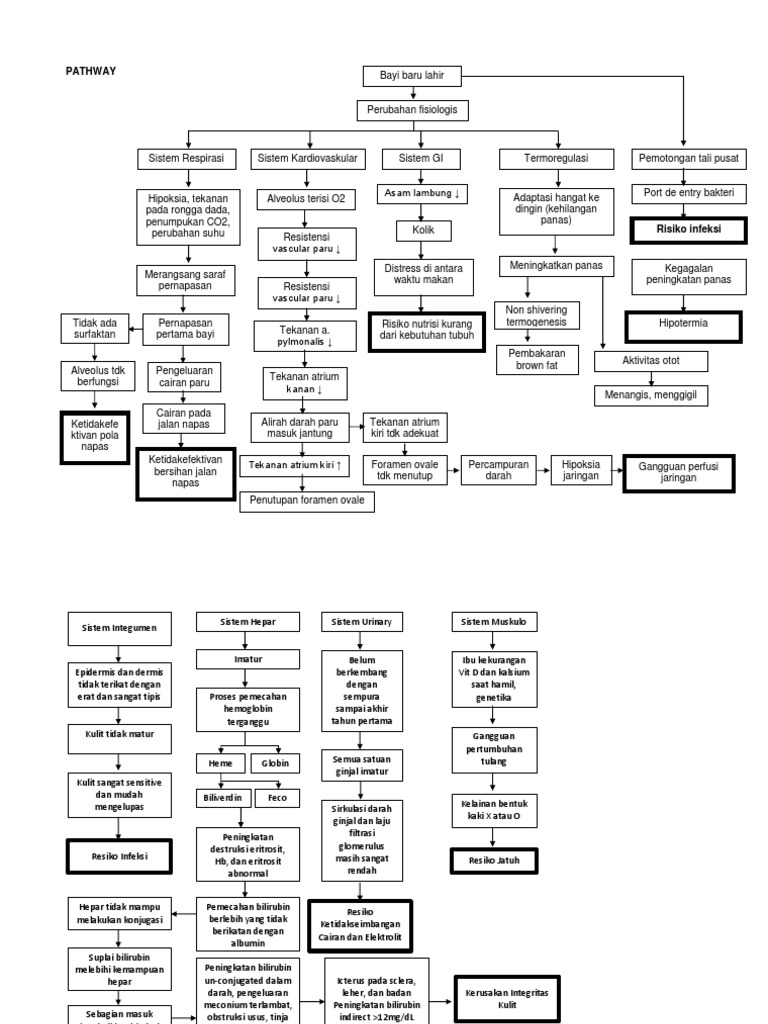 DOC) Clinical Pathway Trauma Kelahiran Infeksi Gangguan, 51% OFF