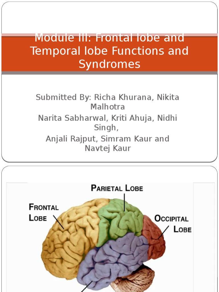 Frontal Lobe and Temporal Lobe Functions and Syndromes | PDF | Amnesia ...
