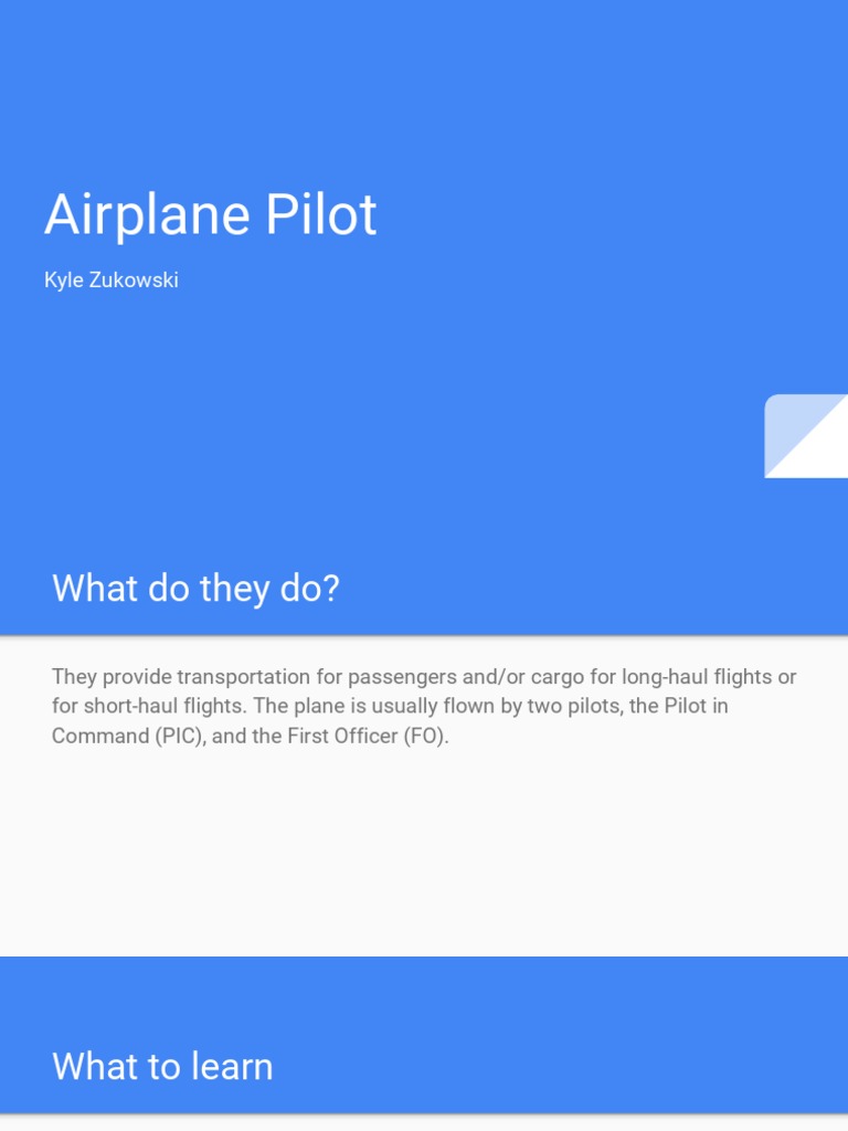 Capstone Project | PDF | Aviation | Airlines