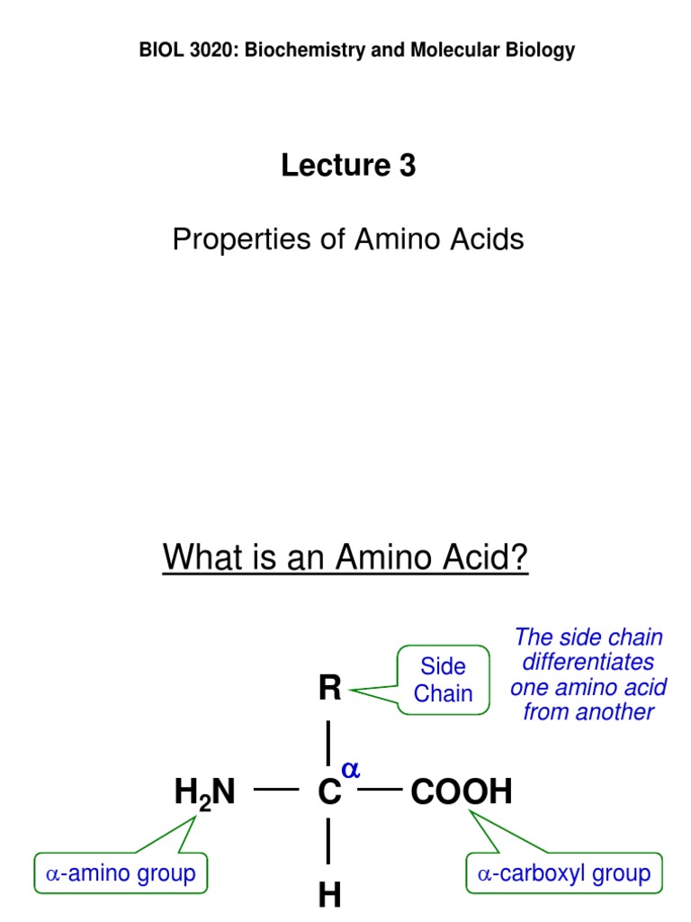 Properties of Amino Acids: Structure, Classification, and ...