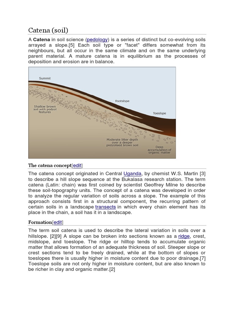 Catena | PDF | Earth Sciences | Physical Geography
