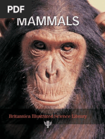 NOAA Shark Identification Placards | PDF | Sharks | Vertebrates