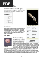 Brine Shrimp Hatching Experiment Guide | PDF | Experiment