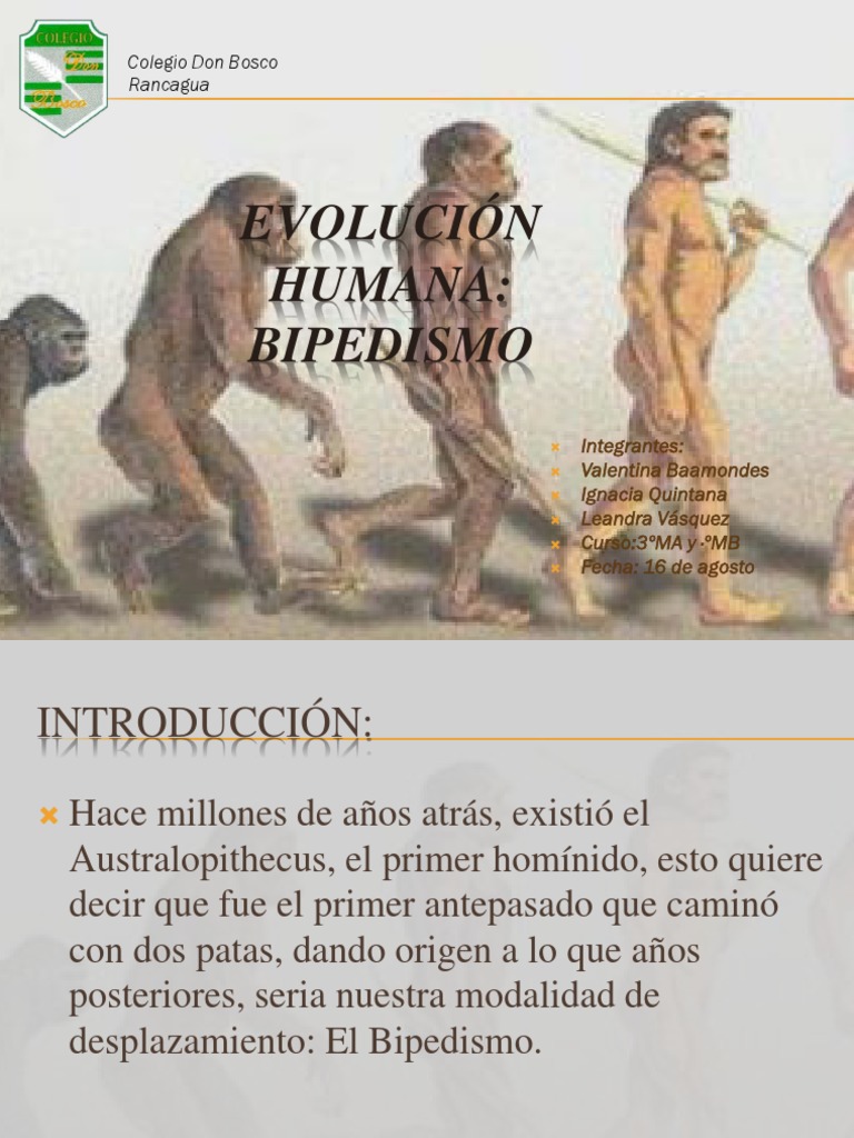 Bipedismo | PDF | Bipedalismo | Evolución