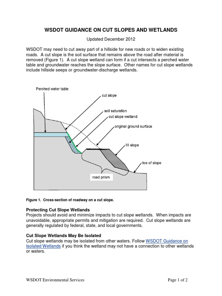 Wetland Guid Cut Slopes | Wetland | United States Army Corps Of Engineers