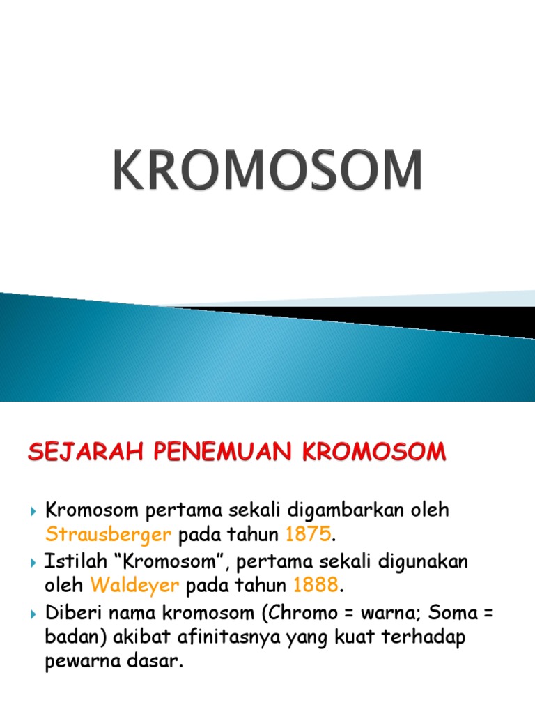 Struktur Dan Tipe Kromosom | PDF | Sains & Matematika