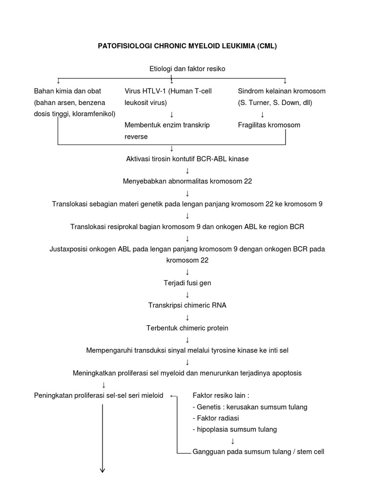 Pathway Chronic Myeloid Leukimia | PDF