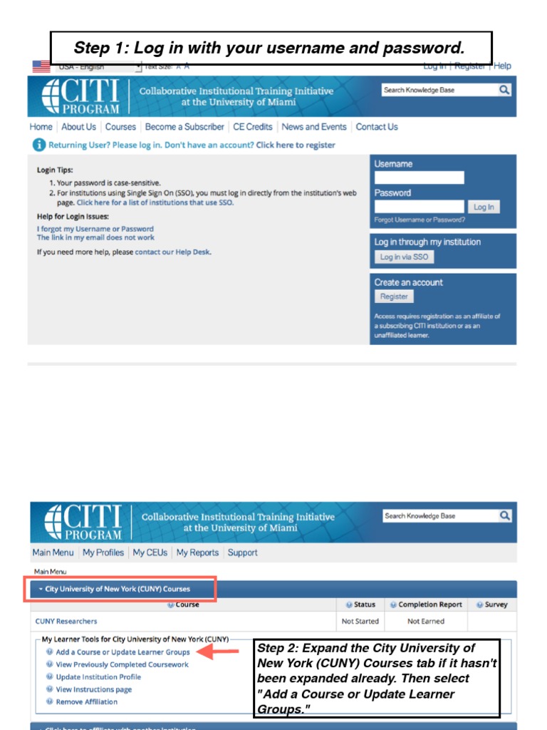 CITI RCR Instructions | PDF