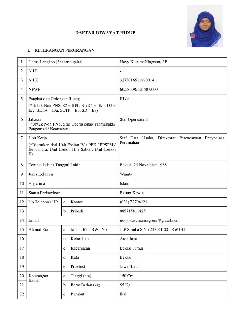 Format Daftar Riwayat Hidup PNS Dan Non PNS | PDF